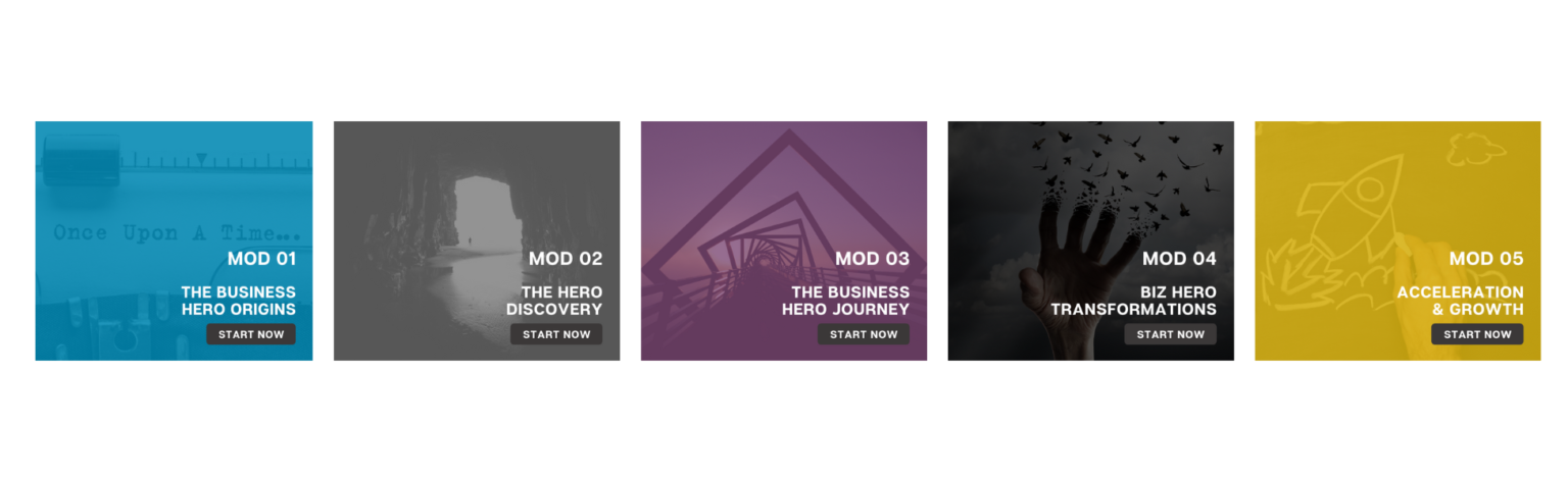 7 Types of Business Heroes – With Examples - The Business HERO